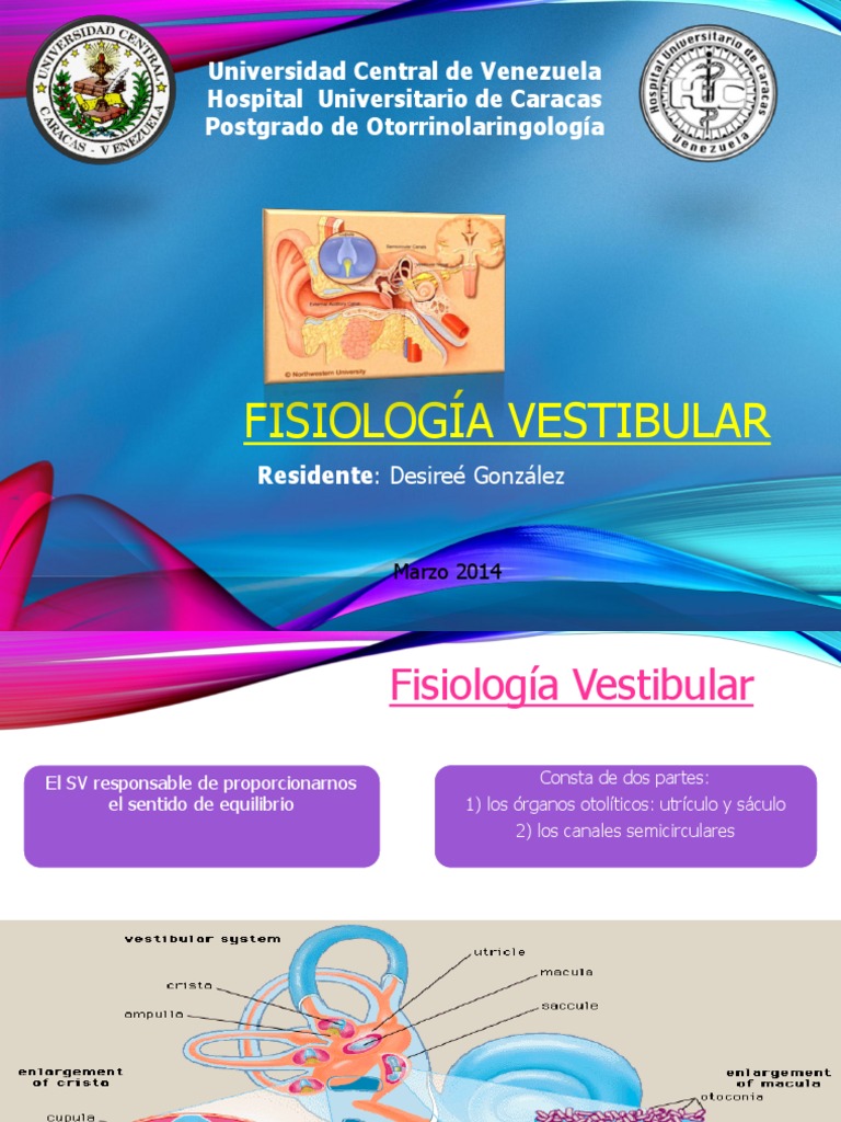 Fisiologia Vestibular Otoneuro | Cerebelo | Neurobiología | Prueba ...