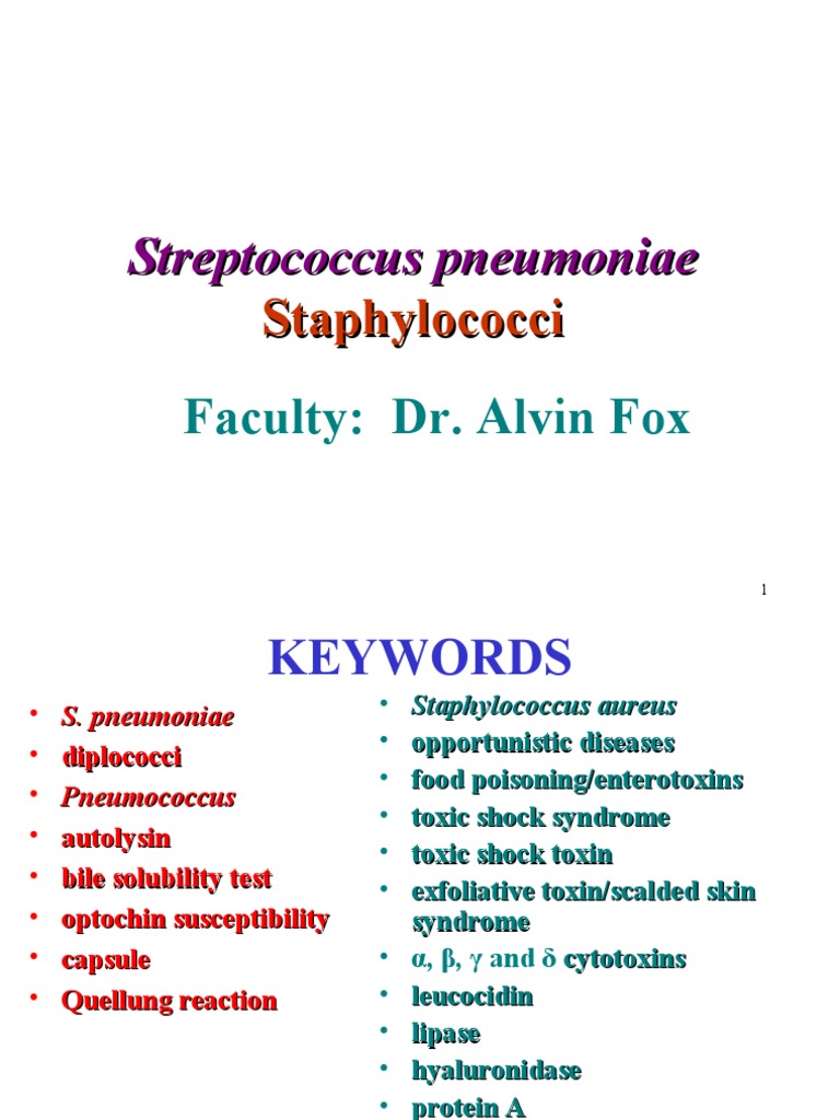 Streptococcus Pneumoniae Staphylococci Faculty: Dr. Alvin Fox | PDF | Staphylococcus ...