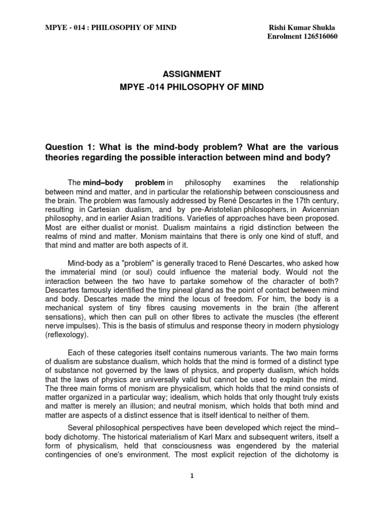 Philosophy of Mind | PDF | Philosophy Of Mind | Mind–Body Problem