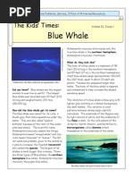 Blue Whale: Size, Diet, and Communication | PDF | Whales | Cetaceans