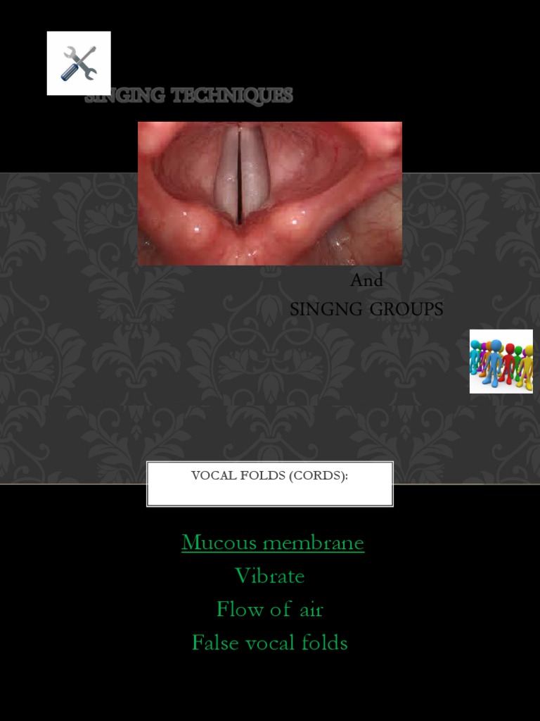 Vocal Techniques and Singing Styles | PDF