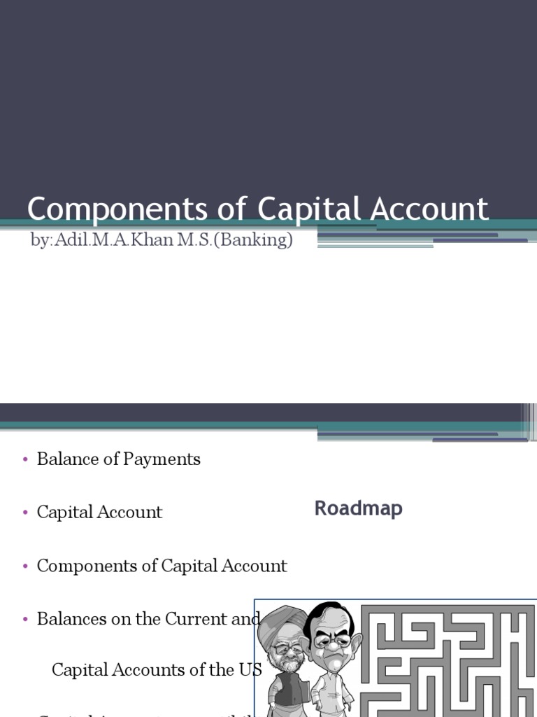 Components of Capital Account | PDF | Capital Account | Deposit Account