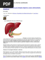 HEPAGRAS | PDF | Hígado | Bilis