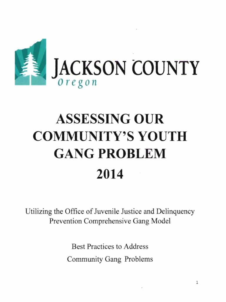 Jackson County Gangs Assessment Report | PDF | Gang | Race And ...