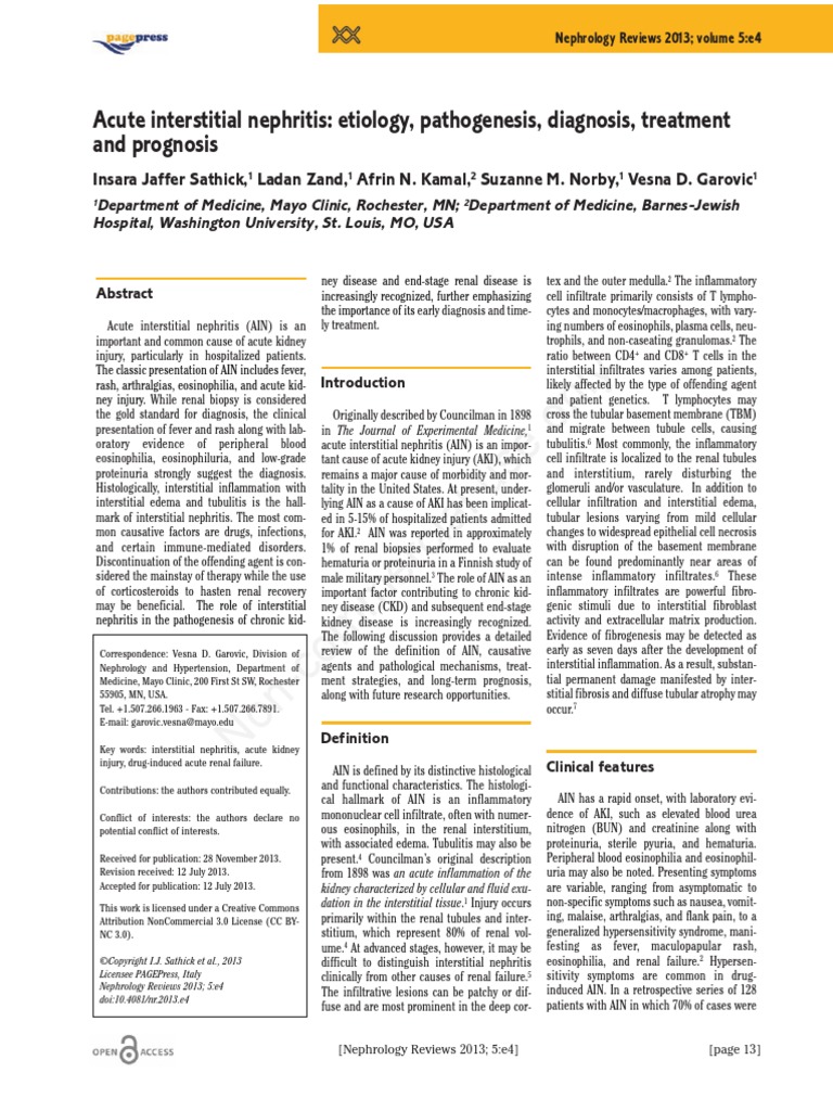 Use Only: Acute Interstitial Nephritis: Etiology, Pathogenesis ...