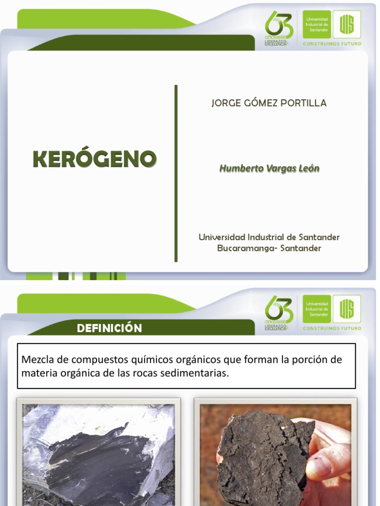Expo Kerogeno | PDF | Hidrógeno | Petróleo