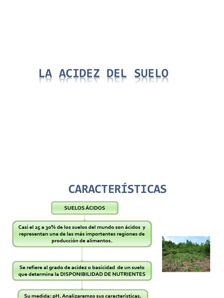 La Acidez Del Suelo | PDF | Ácido | Ph