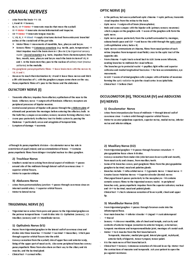 Cranial Nerves Functions and Pathways | PDF | Visual System | Brainstem