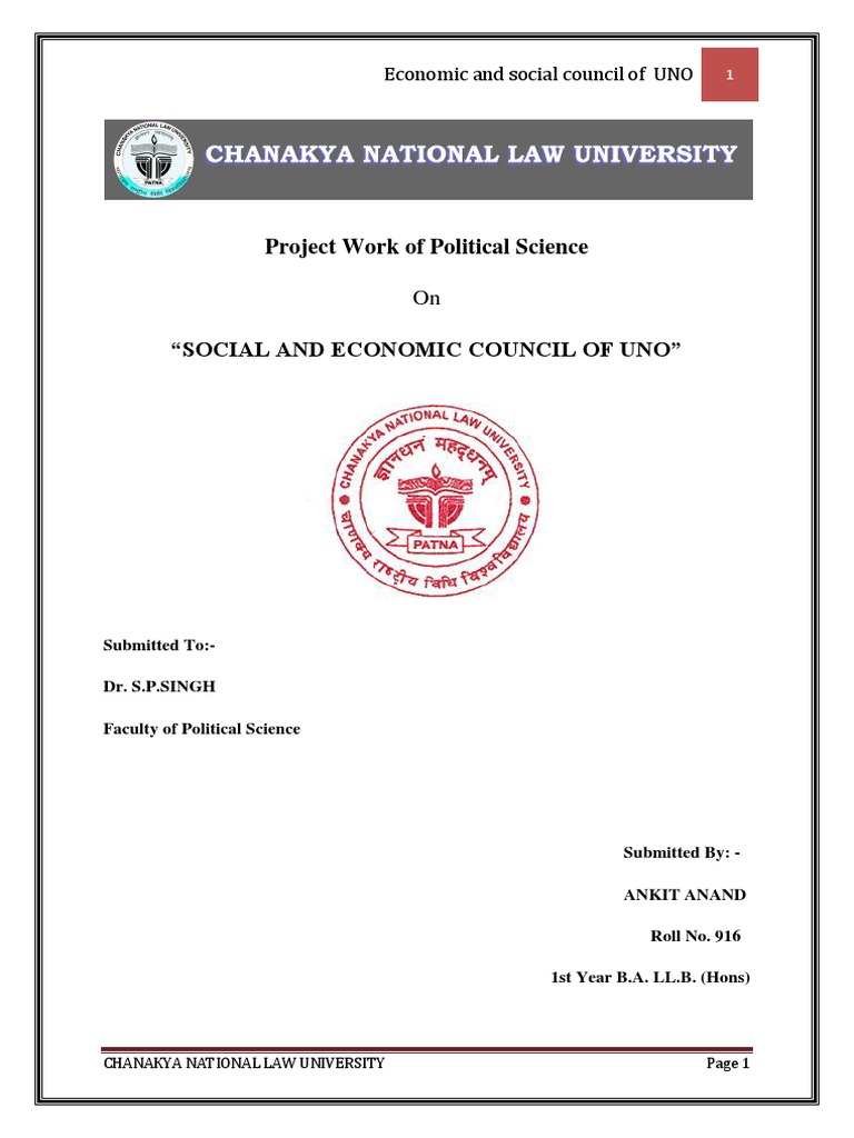Project Work of Political Science | United Nations | International ...