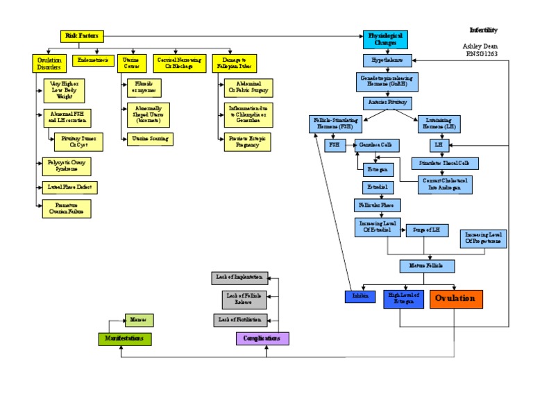 Infertility Concept Map | PDF | Luteinizing Hormone | Menstrual Cycle