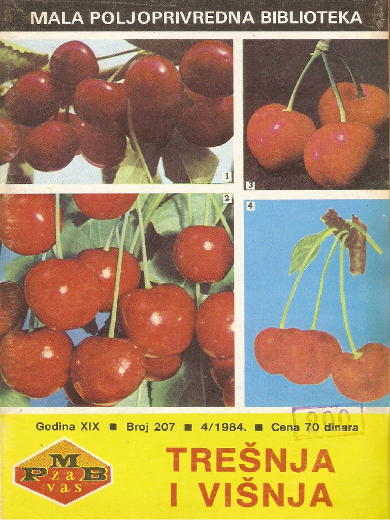 Tresnja I Visnja | PDF