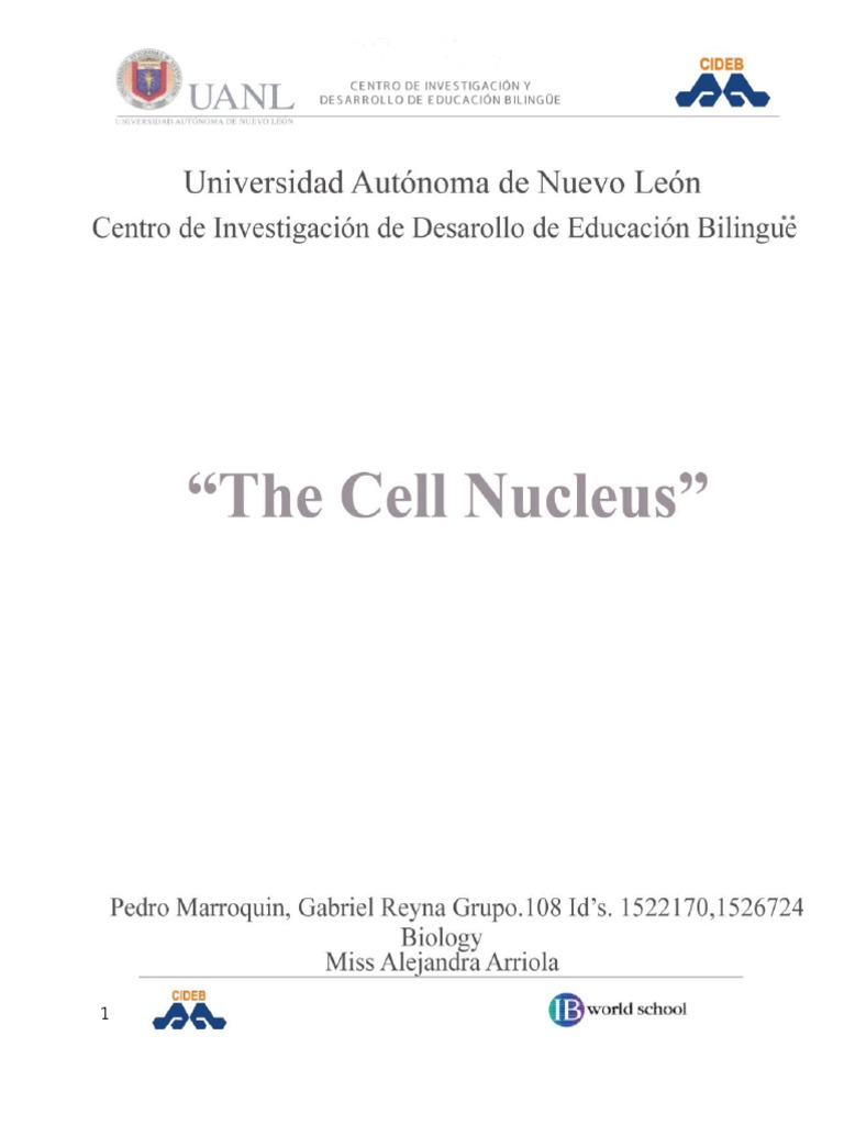The Cell Nucleus | PDF | Cell Nucleus | Cell (Biology)