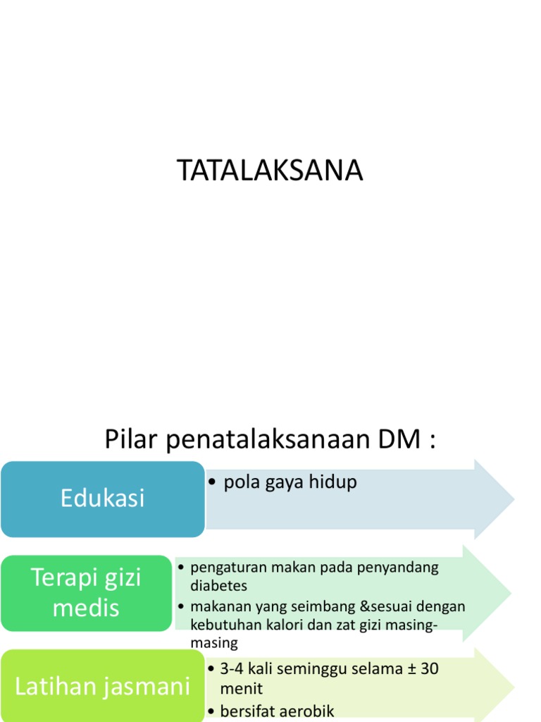 Tatalaksana DM Tipe 2 | PDF