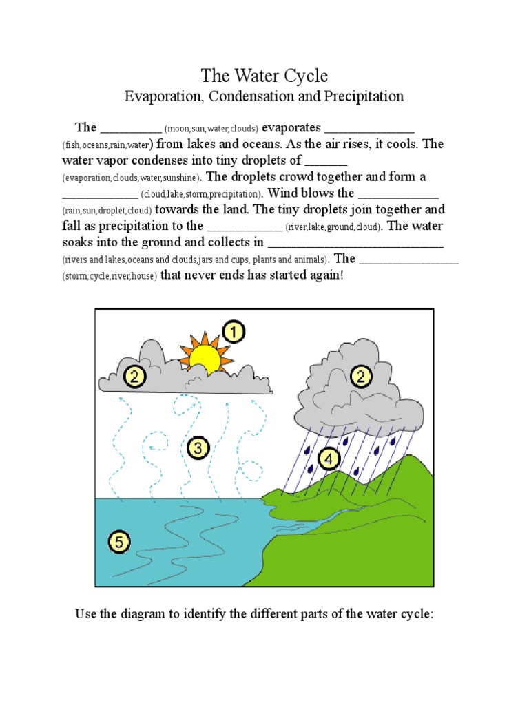 Water Cycle Fill-in-the-Blank Worksheet | PDF | Travel | Science ...