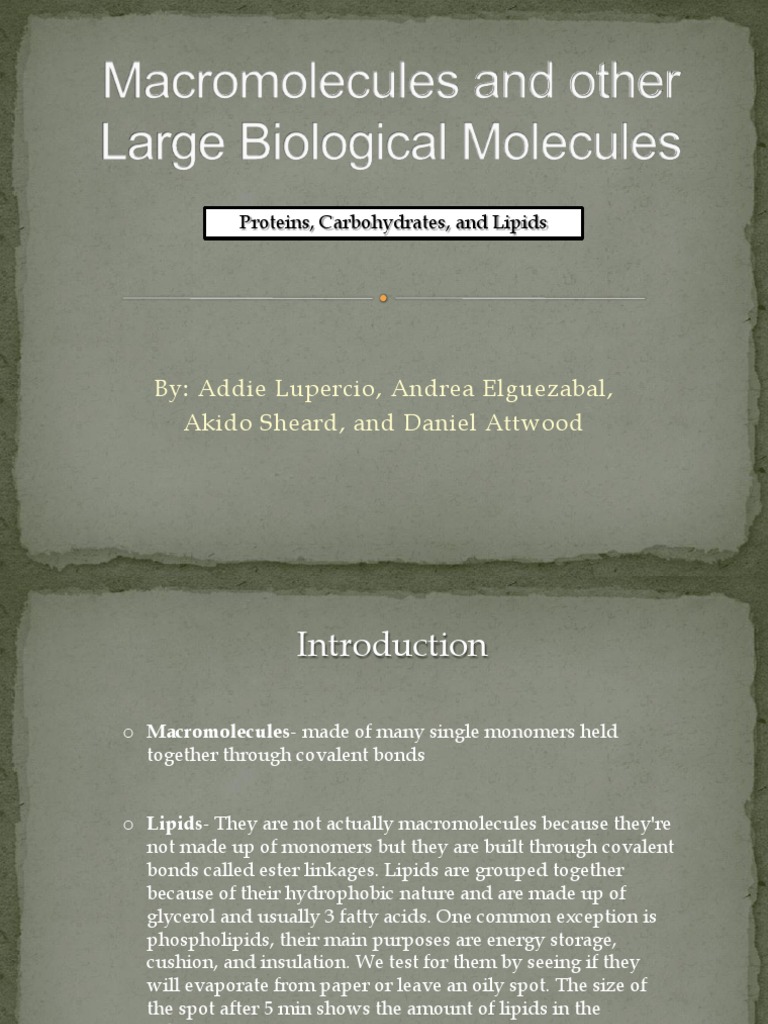 Bio 201 Lab Presentation-Macromolecules | PDF | Carbohydrates | Starch