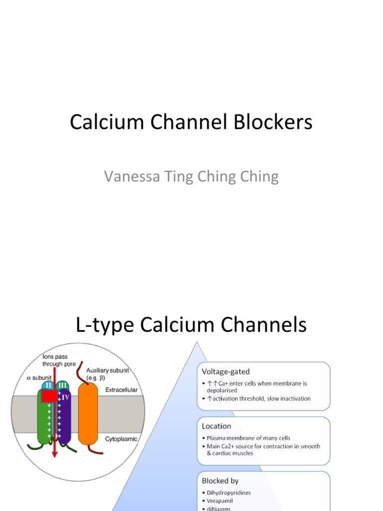 Calcium Channel Blockers | PDF | Physiology | Medical Treatments