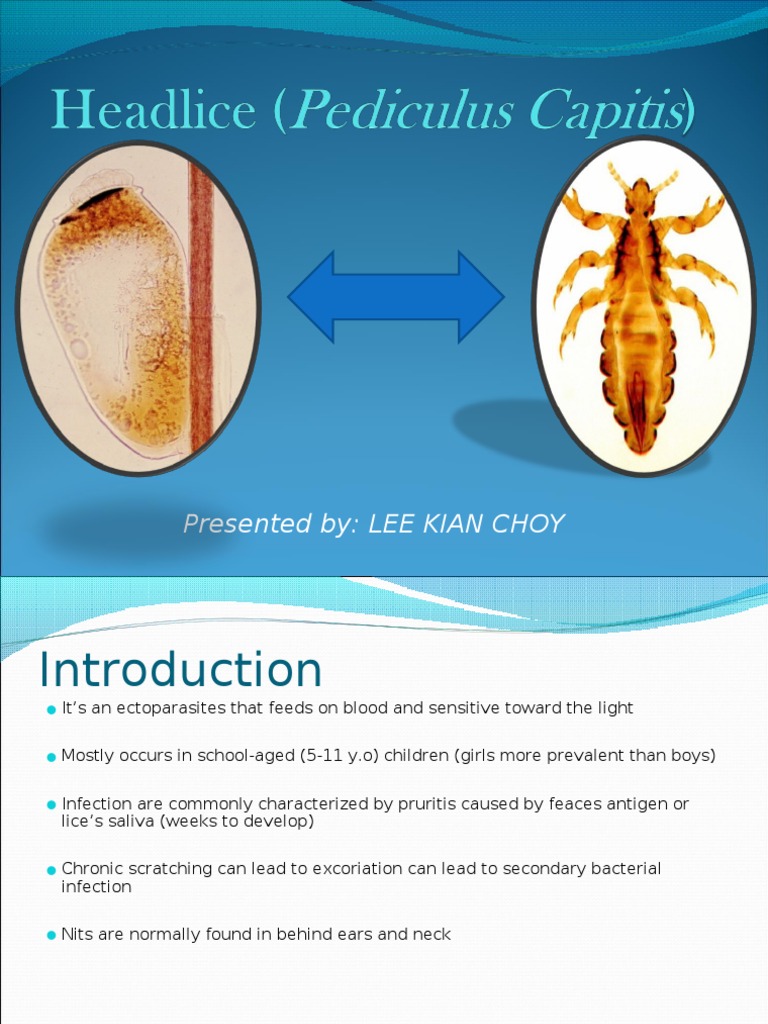 Head Lice | PDF | Medical Specialties | Nature