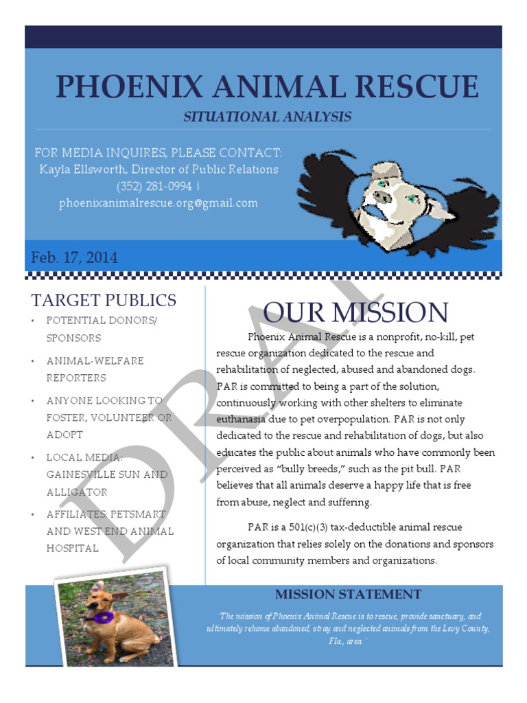 Situation Analysis For A Pet Rescue Organization | PDF | Rescue ...