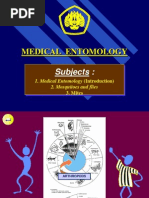 FGHHJJ | PDF | Insects | Fly