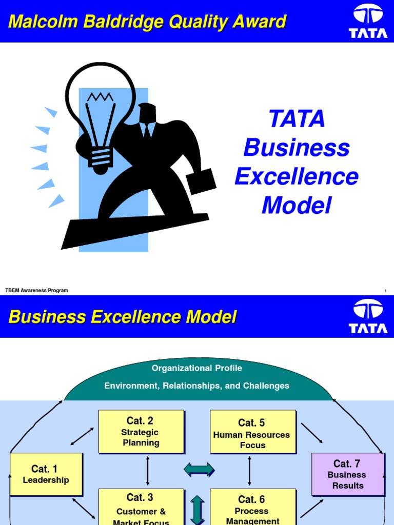 TBEM Awareness Program Overview | PDF | Governance | Leadership