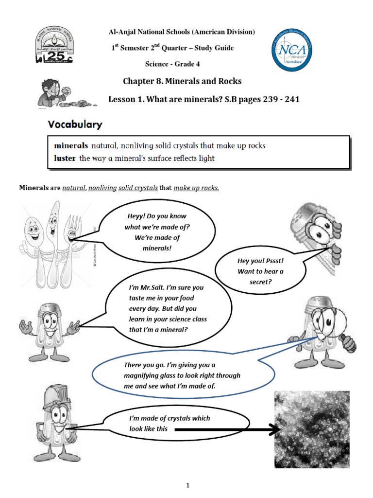 Grade 4 Rocks and Minerals Study Guide | PDF | Rock (Geology) | Igneous ...