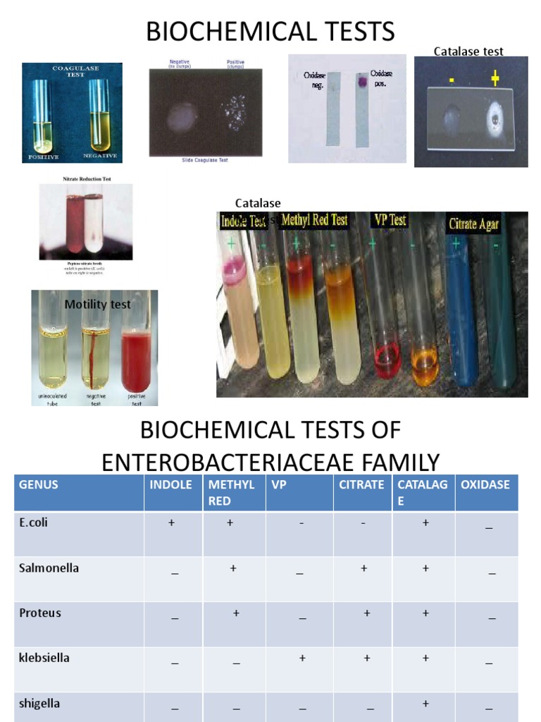 Biochemical Tests | PDF