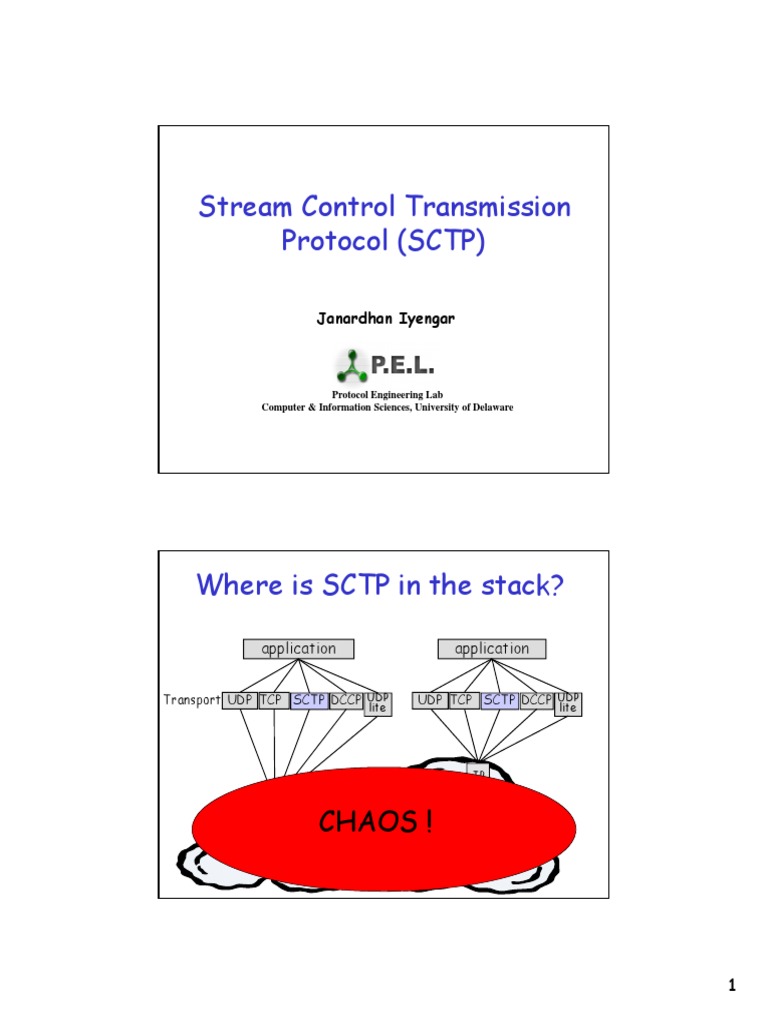 Stream Control Transmission by Janardhan Iyengar | PDF | Transmission ...