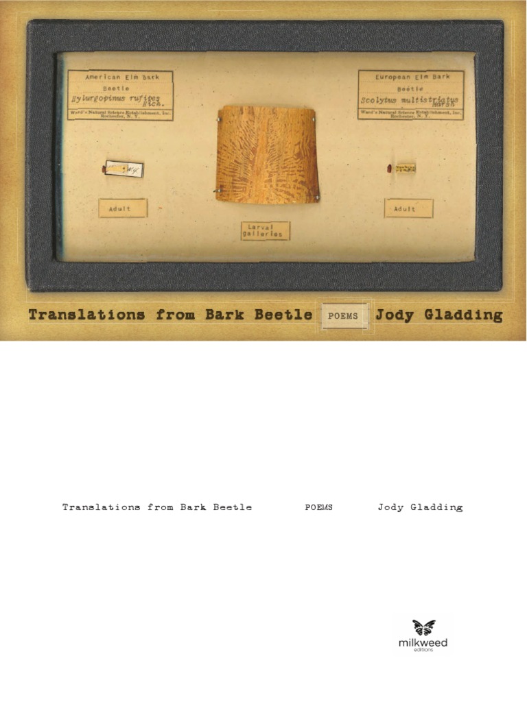 Translations From Bark Beetle - Poems by Jody Gladding | PDF
