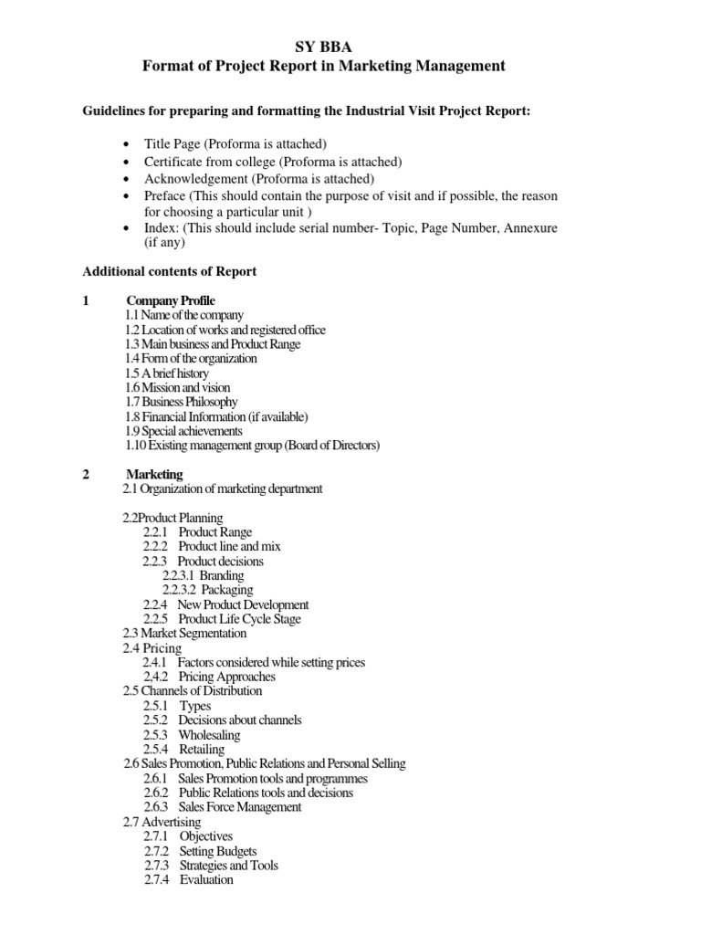 Project Report Format for Marketing Management | PDF