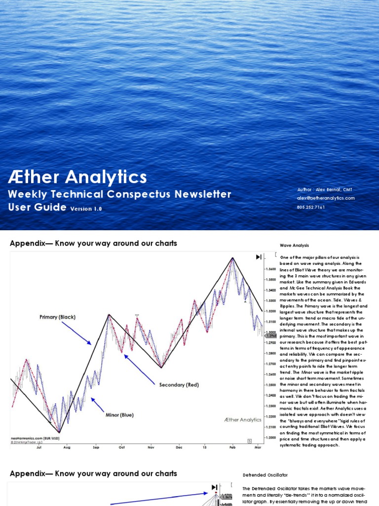 Aether Analytics Technical Conspectus Newsletter User Guide | PDF | Financial Markets ...