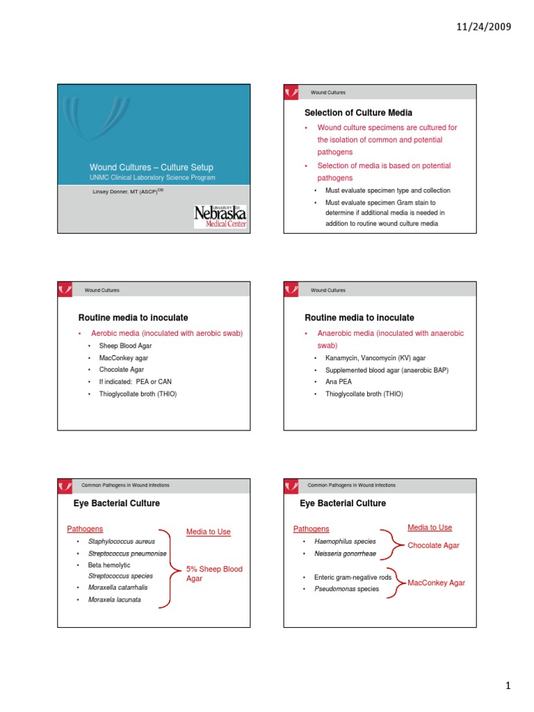 Wound Cultures Culture Setup | PDF | Streptococcus | Bacteria