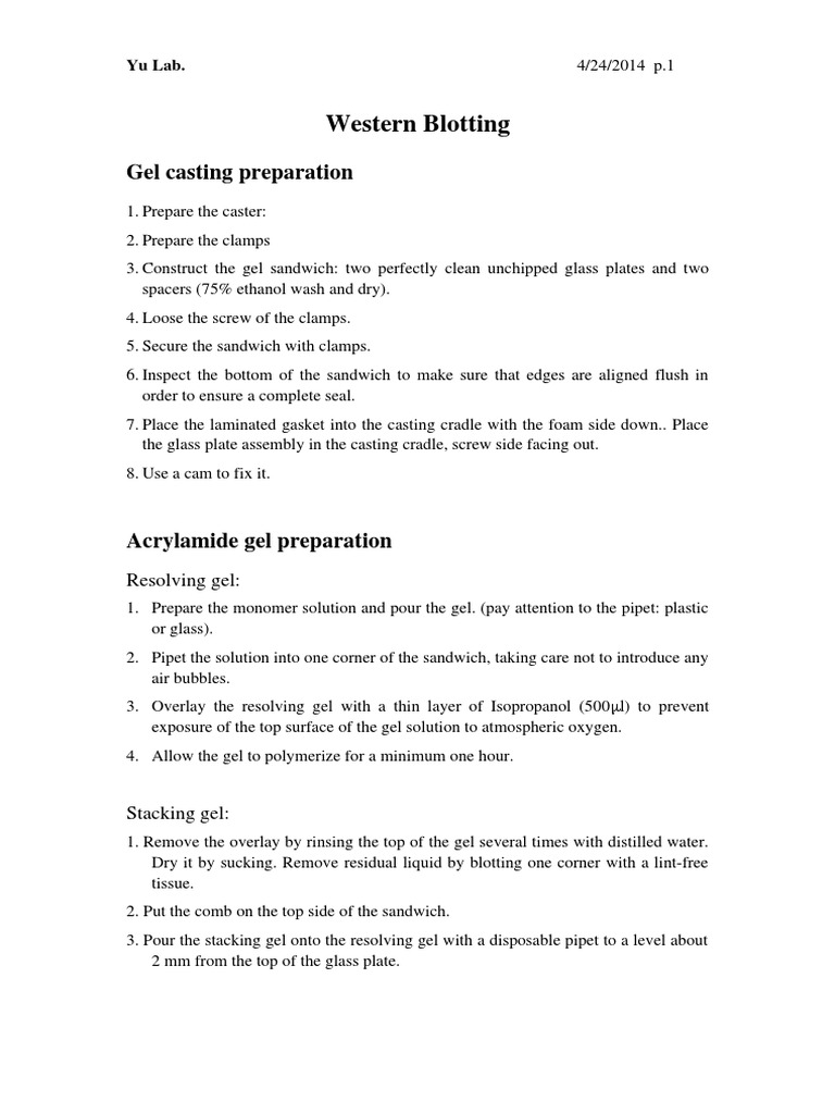 Western Blotting: Gel Casting Preparation | Download Free PDF | Agarose ...