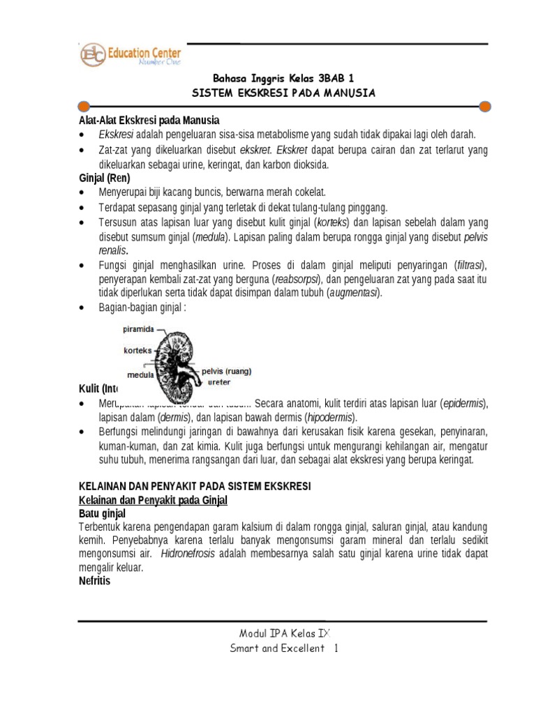 Modul IPA SMP - Kls 9 | PDF