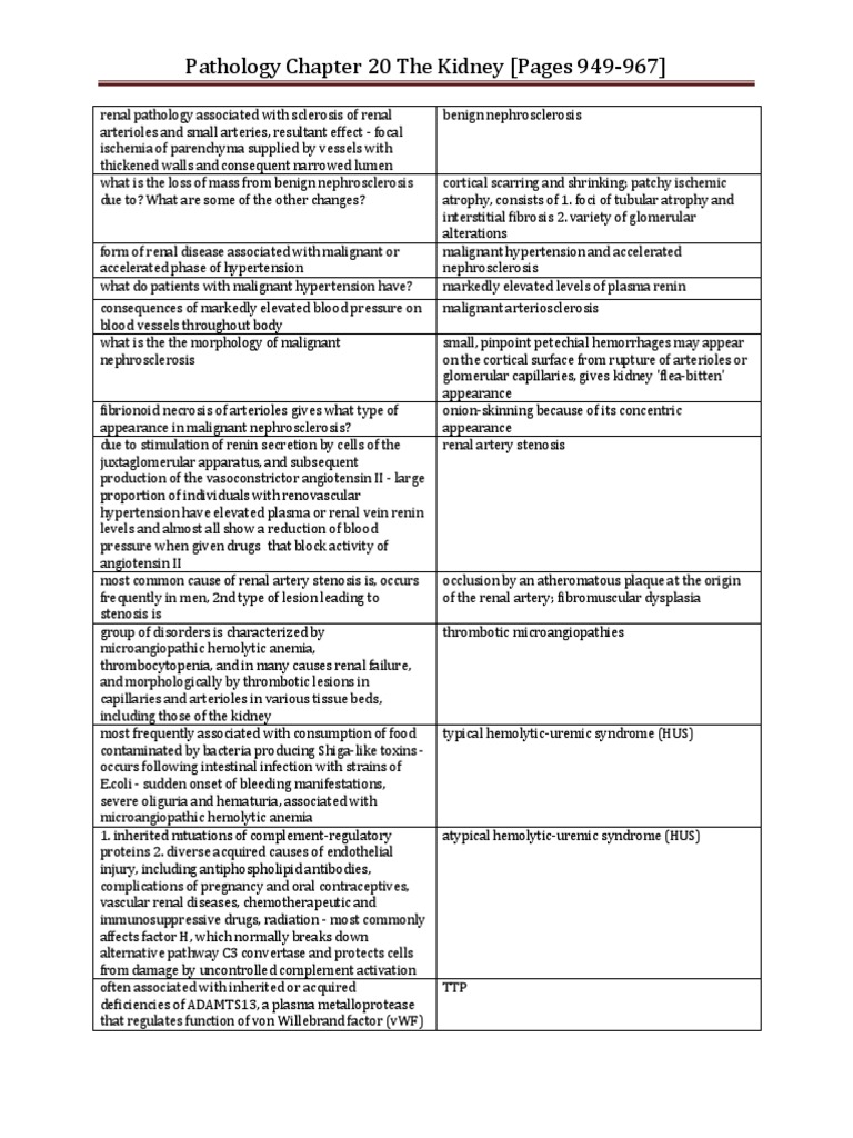 Flea-Bitten Kidney Pathology Overview | PDF | Kidney | Organ (Anatomy)