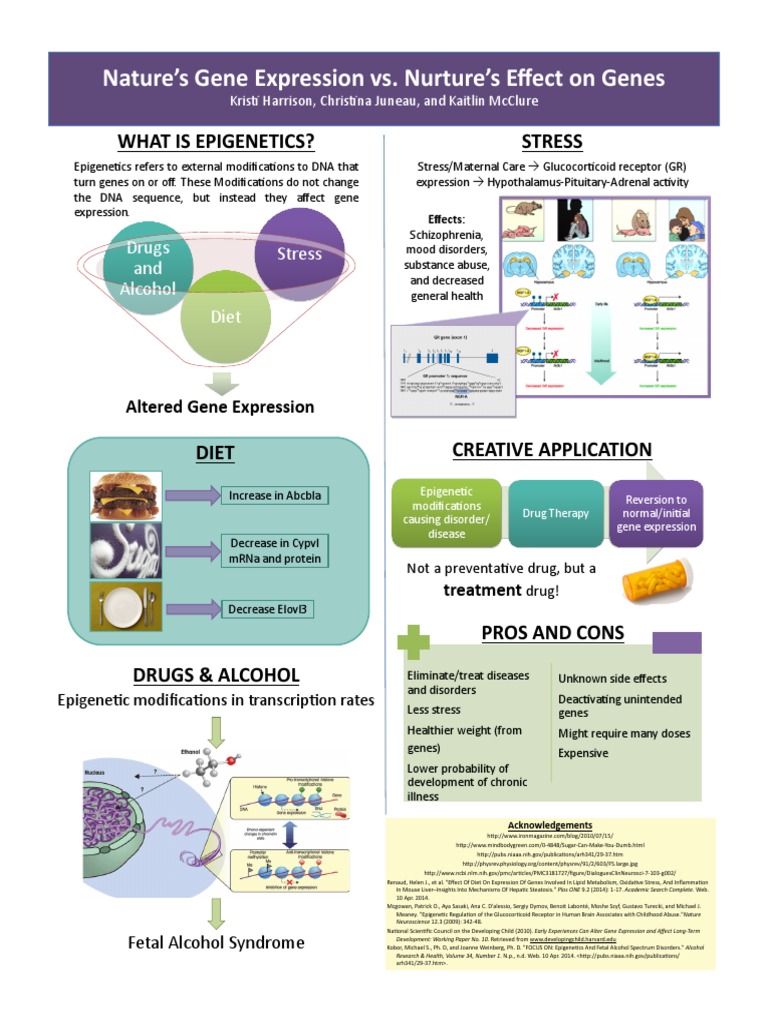 Epigenetics Project Poster | PDF