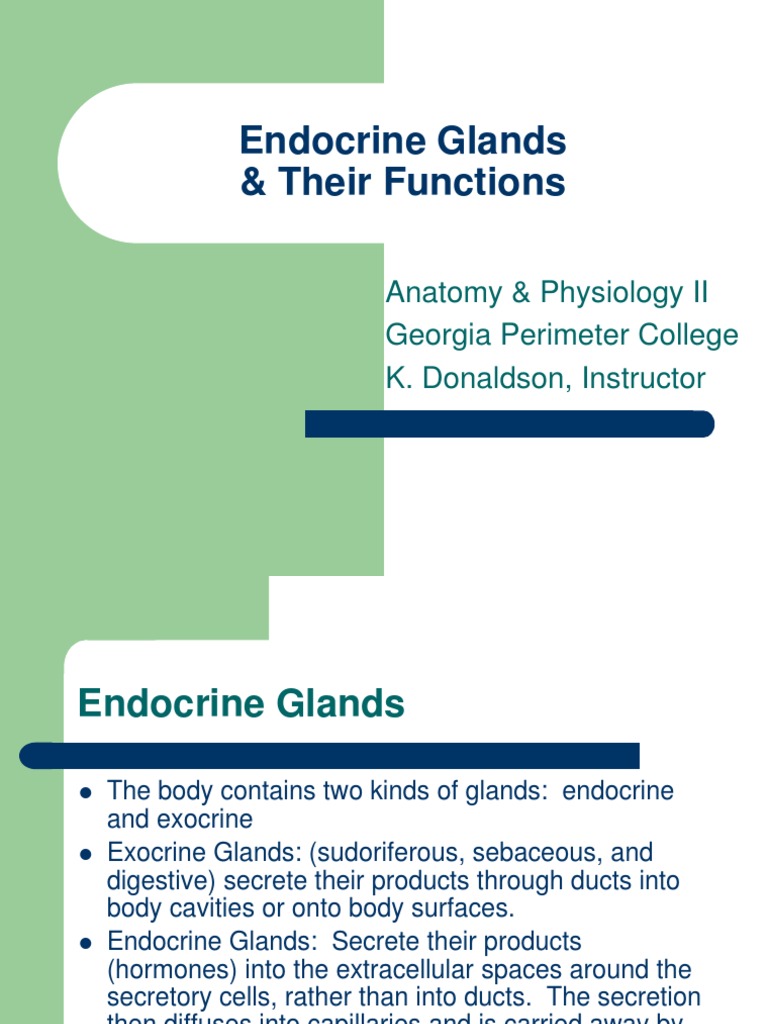 Endocrine Glands & Their Functions: Anatomy & Physiology II Georgia ...