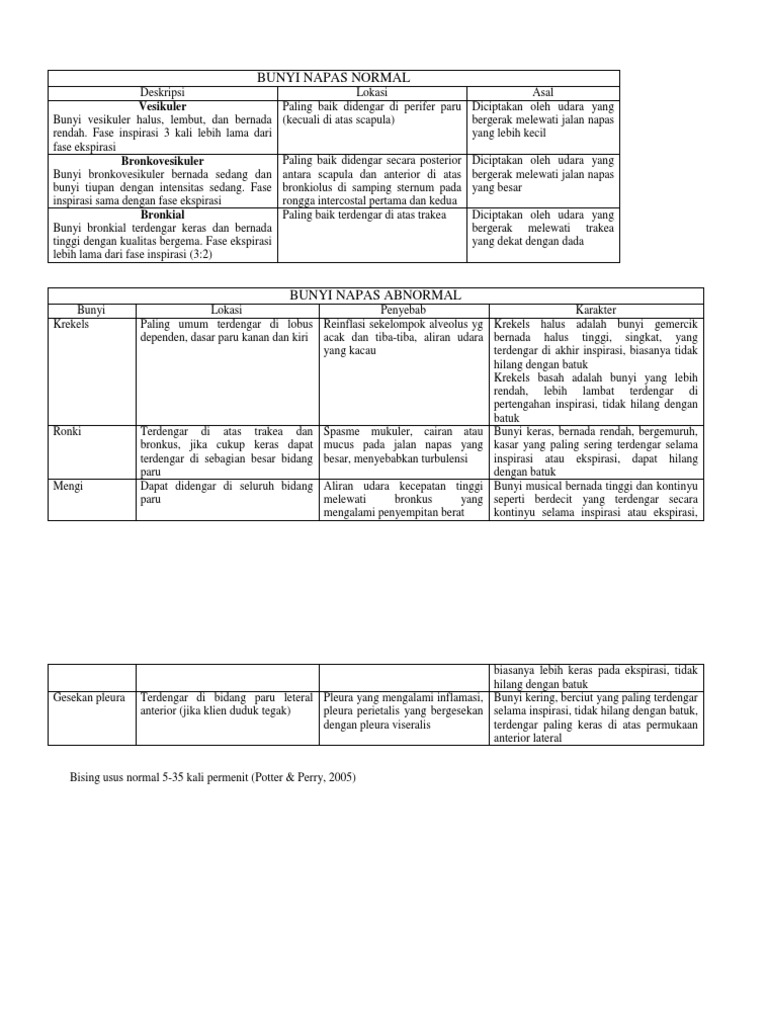 Rentang Normal (Suara Paru, Bising Usus) | PDF