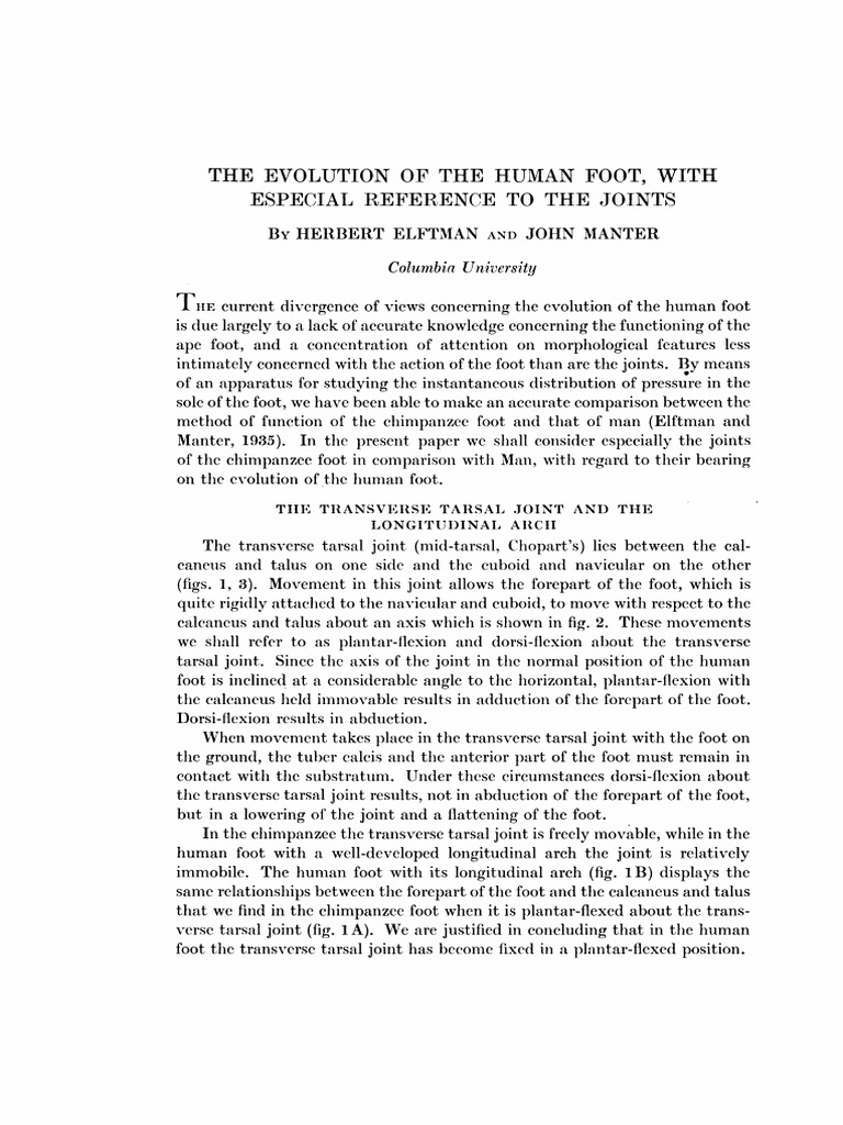 Evolution of Human Foot Joints | PDF | Foot | Ankle