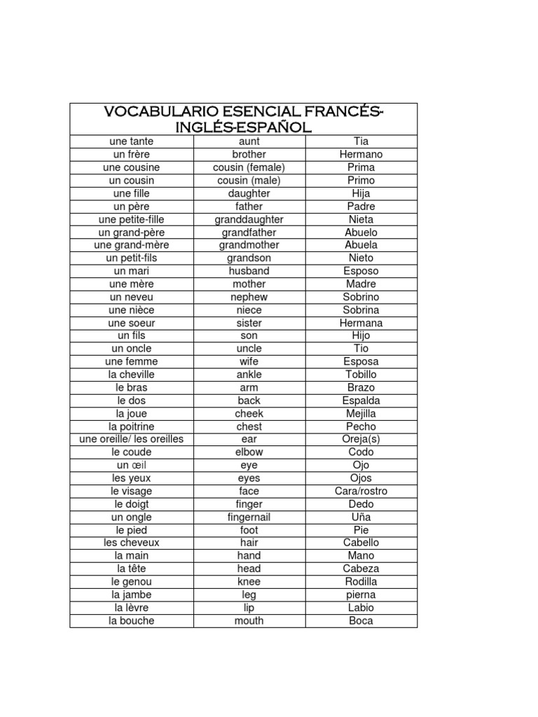 Vocabulario Esencial Francés | PDF | Science | Technologie (Général)