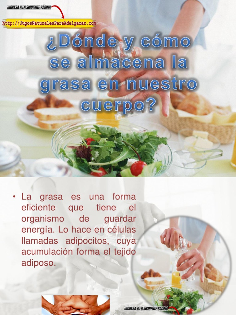 Tipos de grasa y su impacto en salud | PDF | Tejido adiposo | Sistema ...