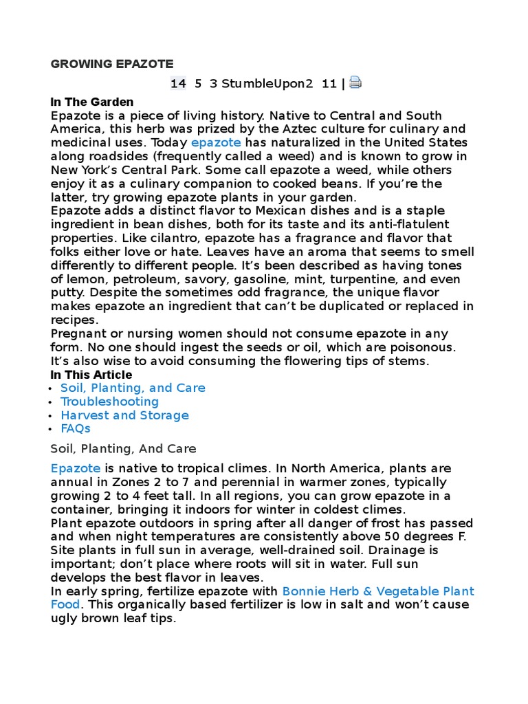 Ep Azote | PDF | Mexican Cuisine | Bean