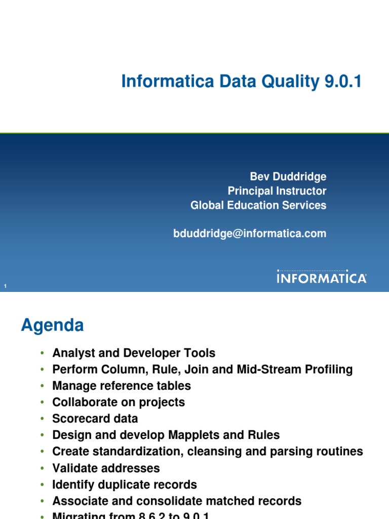 Informatica Data Quality 9.0.1 Overview | PDF | Data Quality | Parsing