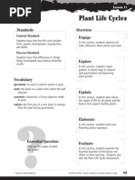 Plant Life Cycle Lesson Plan for Grades 1-5 | PDF | Germination | Seed