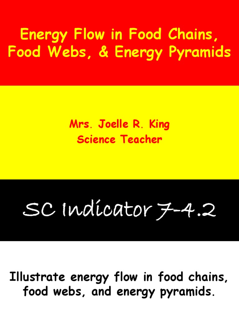 Energy Flow in Ecosystems Explained | PDF | Food Web | Biogeography