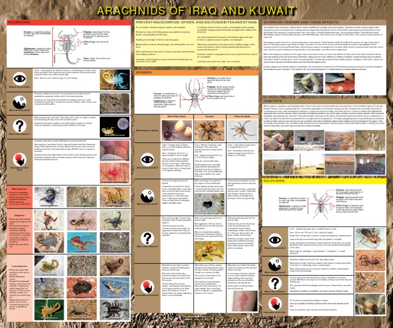 Scorpions and Spiders in Iraq | PDF | Spider | Venom