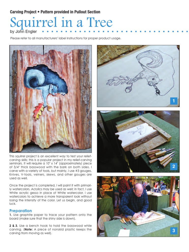 Squirrel in A Tree: Carving Project - Pattern Provided in Pullout ...