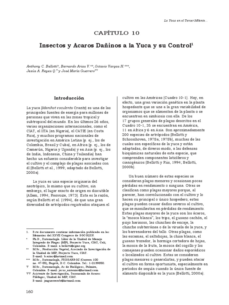 Yuca Insectos Capitulo10 PDF | PDF | Hormiga | Insectos