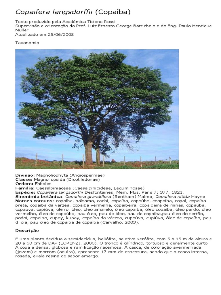 Características da Copaíba (Copaifera) | PDF | Flores | Madeira