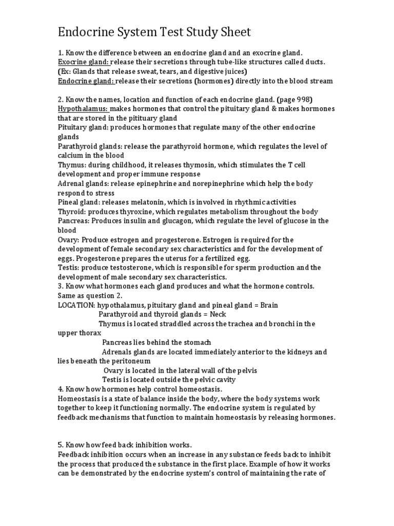 Endocrine System Study Sheet | PDF | Menstrual Cycle | Thyroid ...