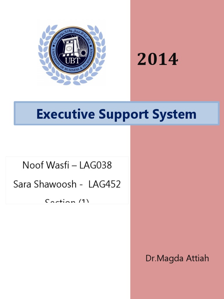 Mis Project Ess | PDF | Information | Input/Output